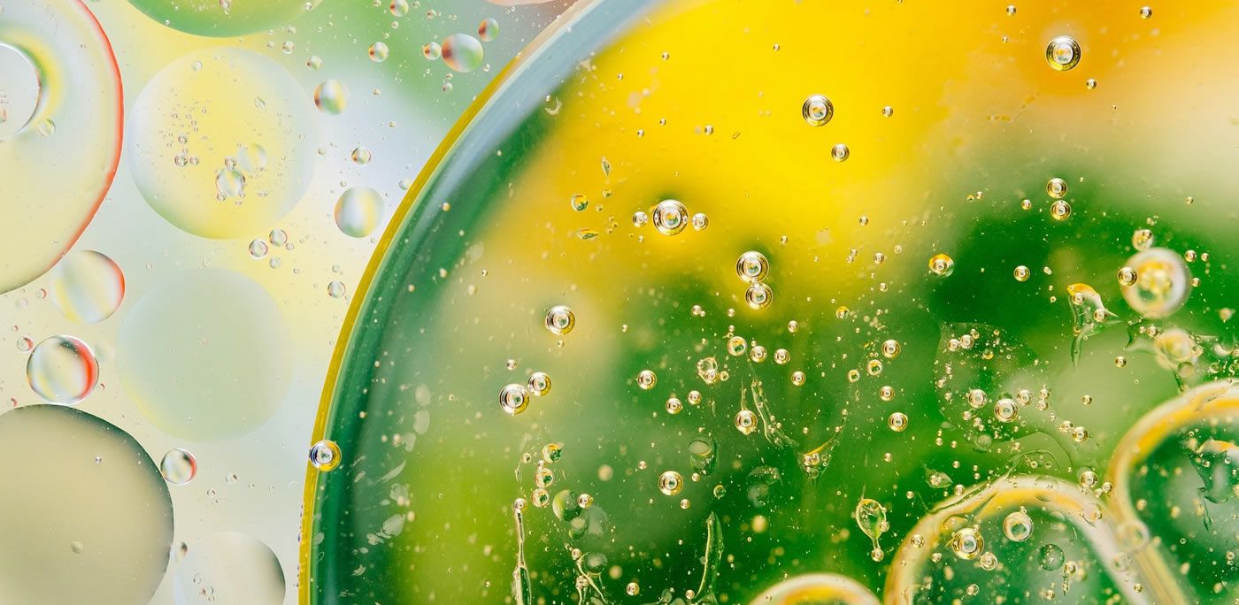 Done Properly: la foodtech chilena que podría transformar la industria ...