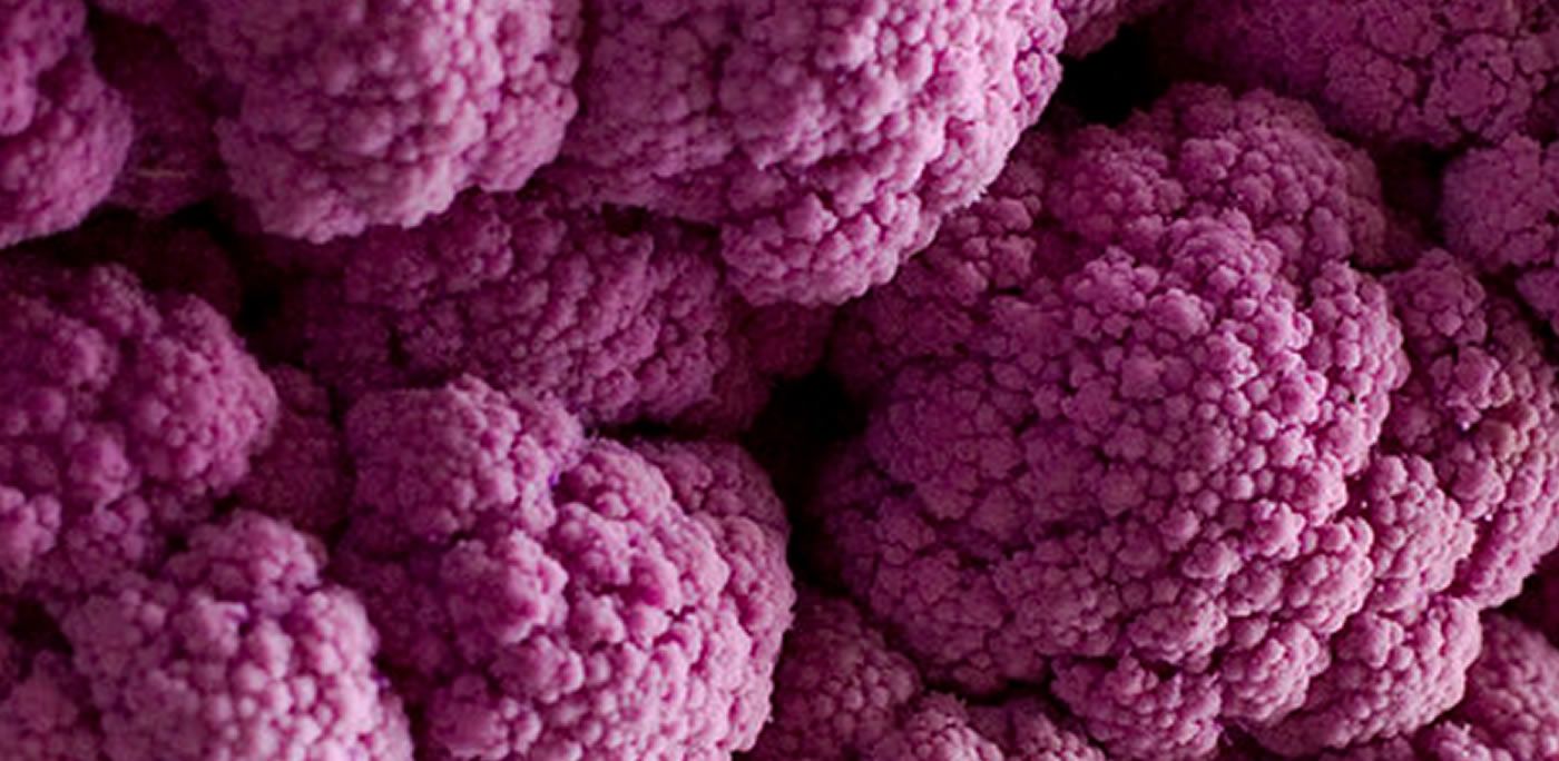 Food tech: the potential of sustainable and local ingredients - Done ...