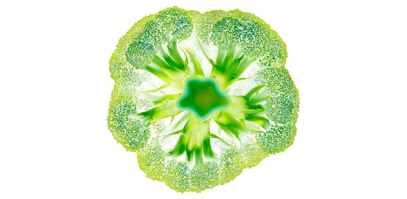 The power of (Done Properly) Food - Done Properly